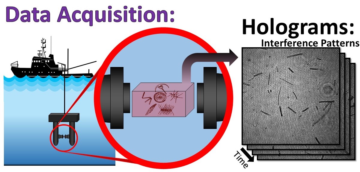 Automated Plankton Classification | Nayak Lab